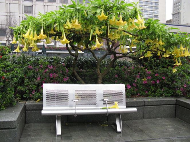 Weary | Hopeful – OccasionalPiece–Quilt!