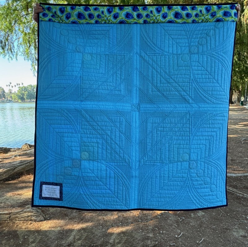 Build Me a Cabin • Quilt Finish – OccasionalPiece–Quilt!