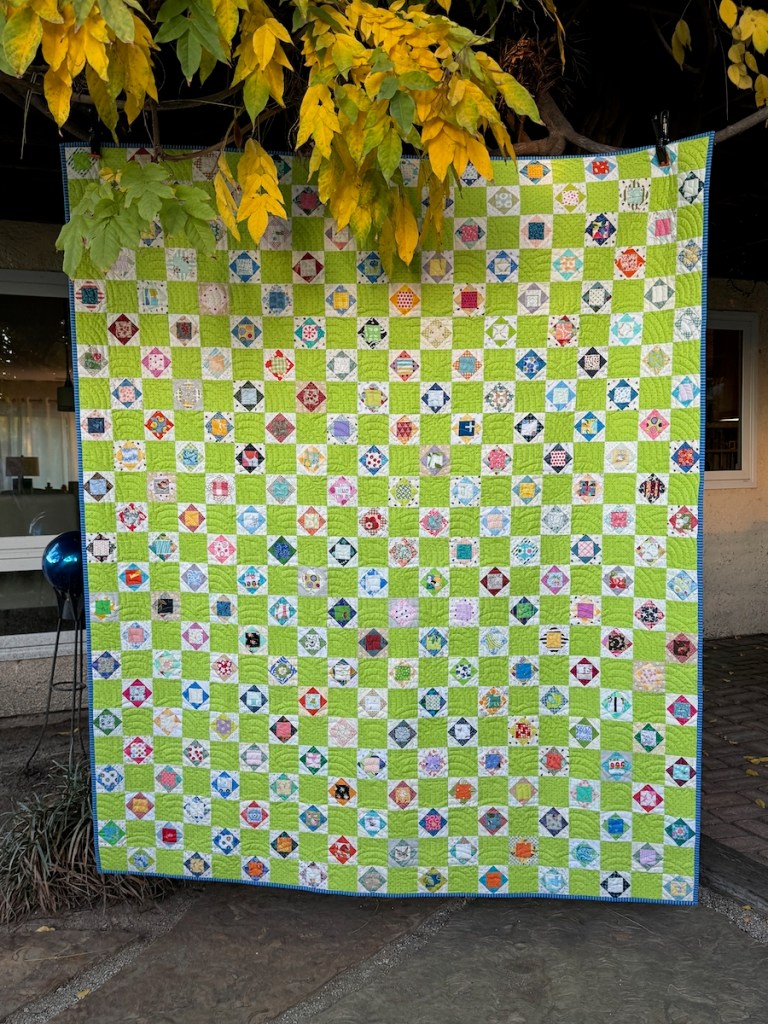 OccasionalPiece–Quilt! – Page 5 – OPQuilt: Quilts & Textiles